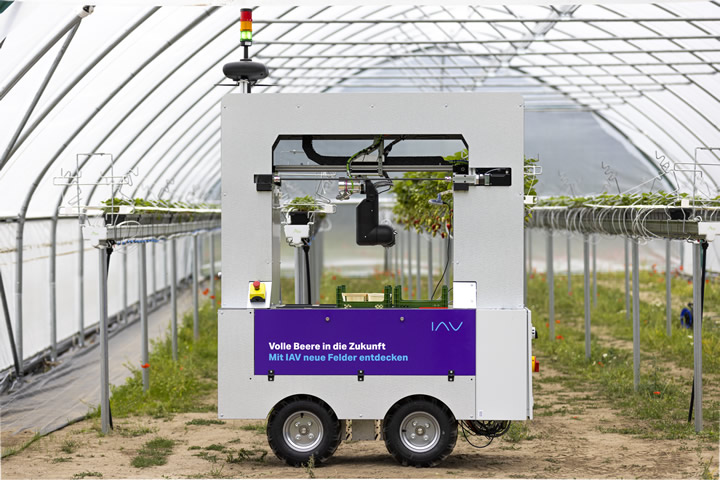 Strawberry Harvesting Robot - Ripe for the Future | RoboticsTomorrow